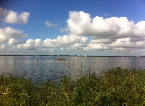 Natuurhuisje 69275 - huisje in Goingarijp | Natuurhuisje.nl