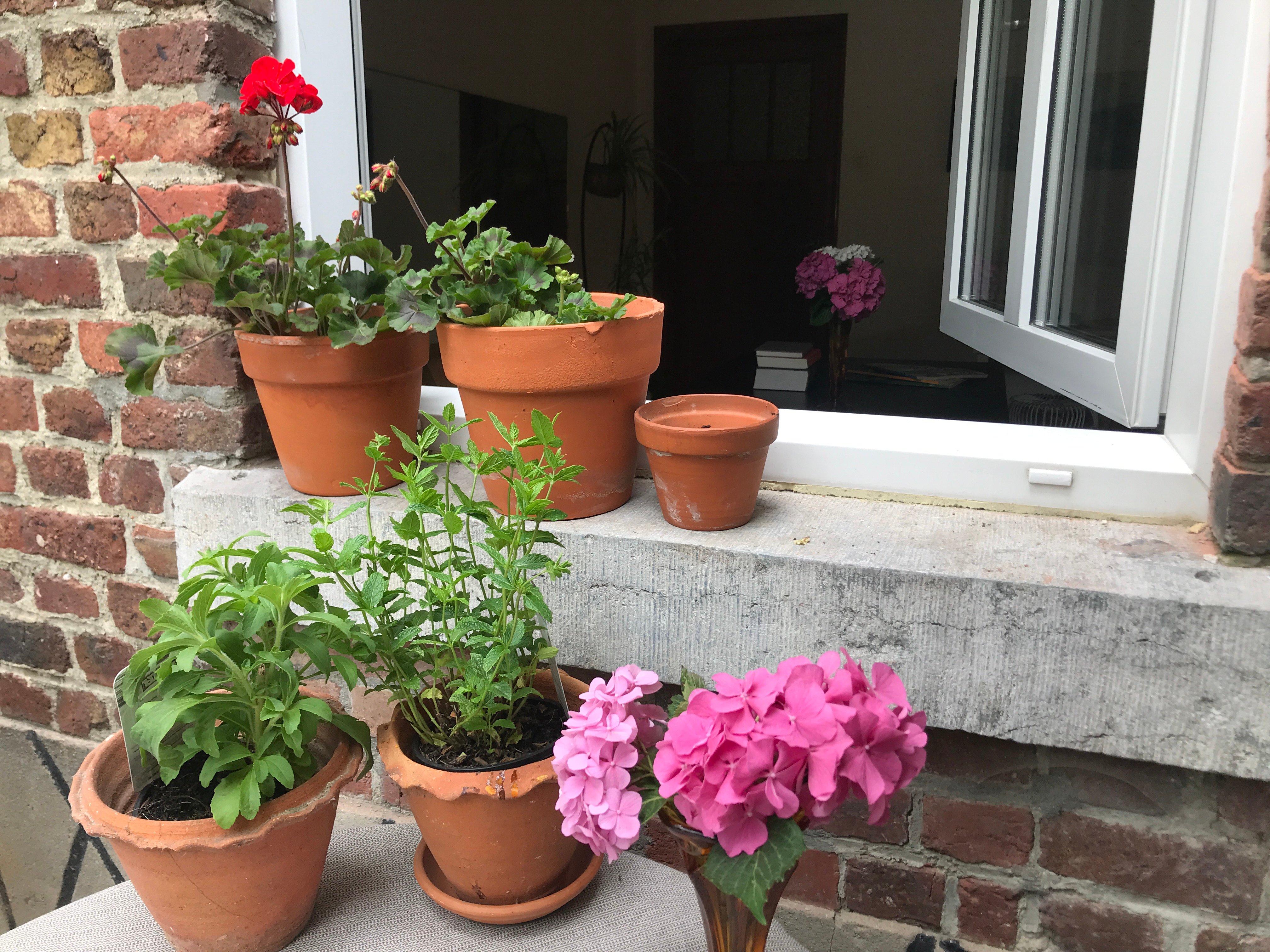 Cottages Onze Lieve Vrouw-Tongeren - Holiday homes & villas | Nature.house