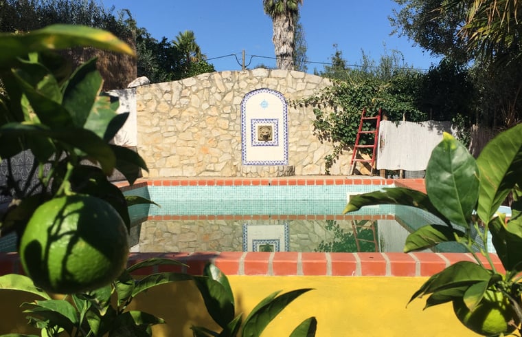 Naturhäuschen 67890 - Ferienhaus in Pero Calvo, Sao Pedro de Tomar ...