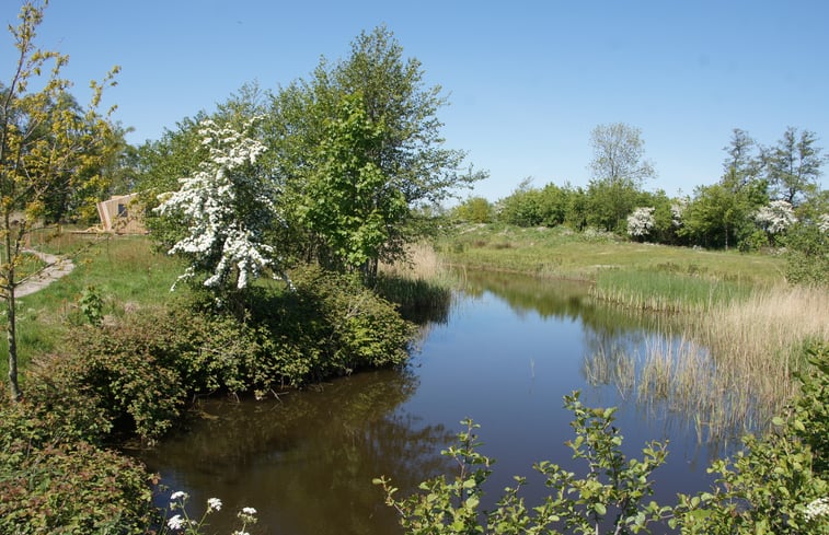 Natuurhuisje 37676 - huisje in Westergeest | Natuurhuisje.nl