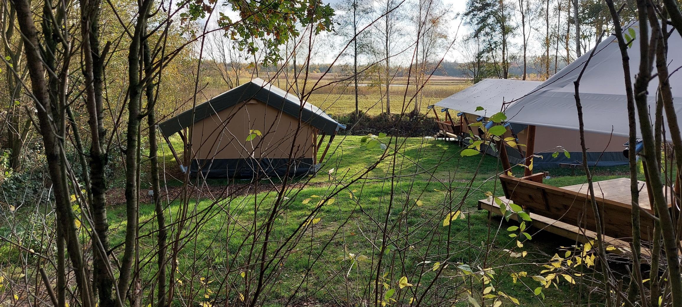 Cottages and cabins in Natuurpark tussen de venen | Nature.house