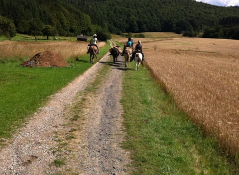 Natuurhuisje 67647 - huisje in Honerath | Natuurhuisje.nl