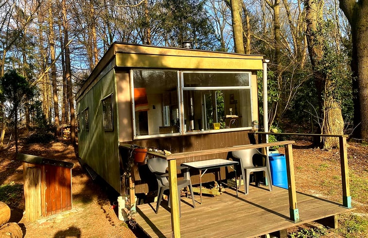 Naturhäuschen 64998 - Ferienhaus in Wijster | Naturhäuschen.de