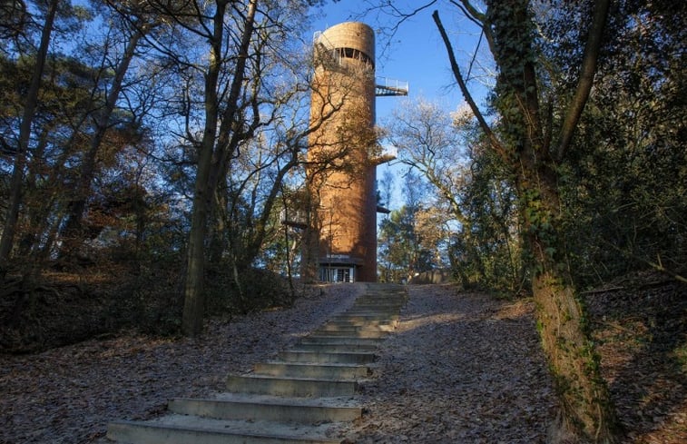 Naturhäuschen 36030 - Ferienhaus in Appelscha | Naturhäuschen.de