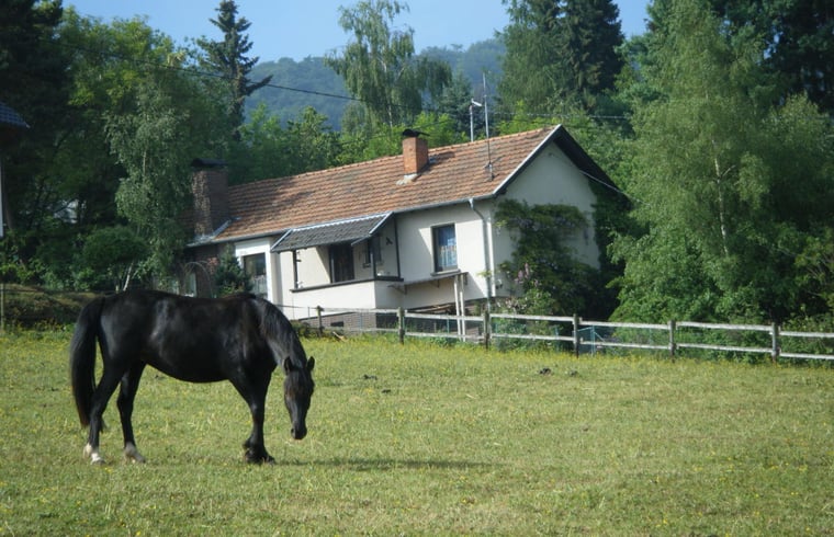 Naturhäuschen 67647 - Ferienhaus in Honerath | Naturhäuschen.de