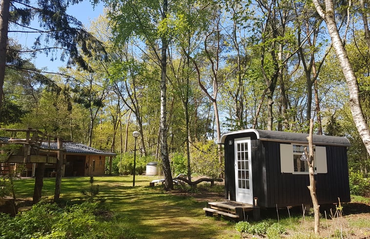 Naturhäuschen 28383 - Ferienhaus in Loosbroek | Naturhäuschen.de