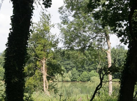 Natuurhuisje 31872 - huisje in Thurey | Natuurhuisje.nl