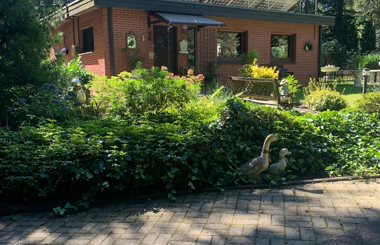 Nature house 74930 - cottage in Uelsen | Nature.house