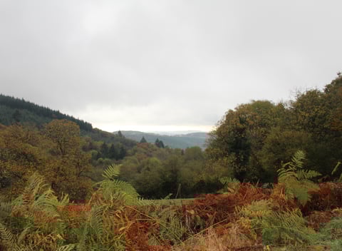 Natuurhuisje 35486 - huisje in Semelay | Natuurhuisje.nl