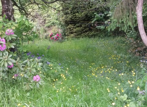 Natuurhuisje 67647 - huisje in Honerath | Natuurhuisje.nl