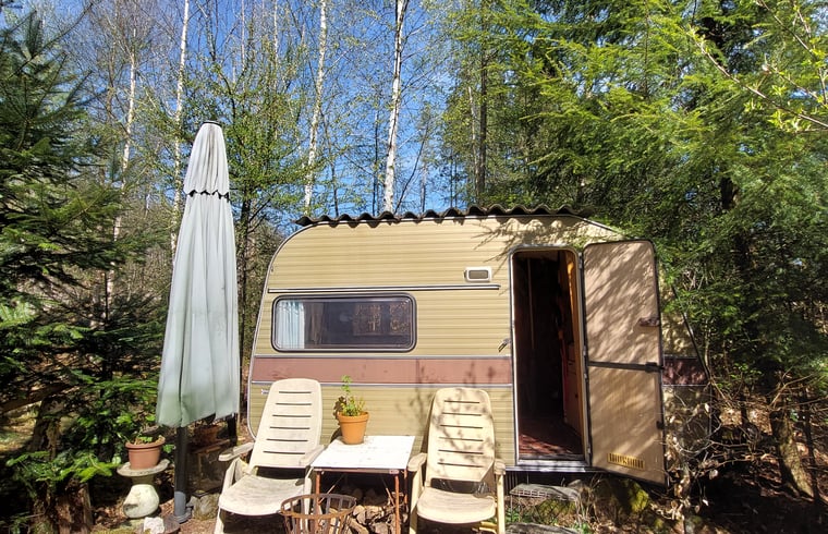 Natuurhuisje 81461 - huisje in La Roche en ardenne | Natuurhuisje.nl