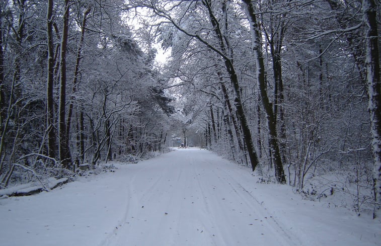 Naturhäuschen 28383 - Ferienhaus in Loosbroek | Naturhäuschen.de