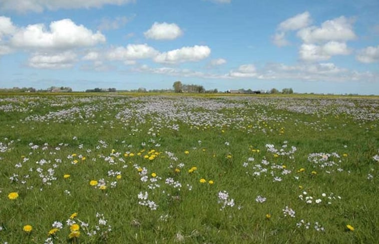 Naturhäuschen 21025 - Ferienhaus in Westergeest | Naturhäuschen.de