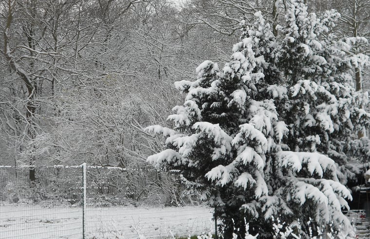 Natuurhuisje 16289 - huisje in Poperinge | Natuurhuisje.be