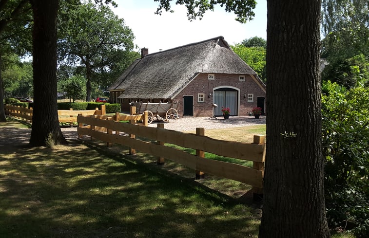 Naturhäuschen 77203 - Ferienhaus in Valthe | Naturhäuschen.de