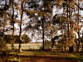 Vakantiehuis Veluwe huren? Uniek aanbod bij Natuurhuisje.nl