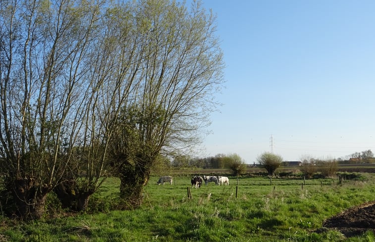 Natuurhuisje 54177 - huisje in Zarren | Natuurhuisje.be