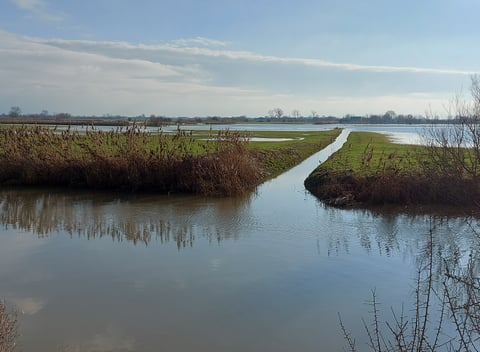 Natuurhuisje 67507 - huisje in Leisele Alveringem | Natuurhuisje.be