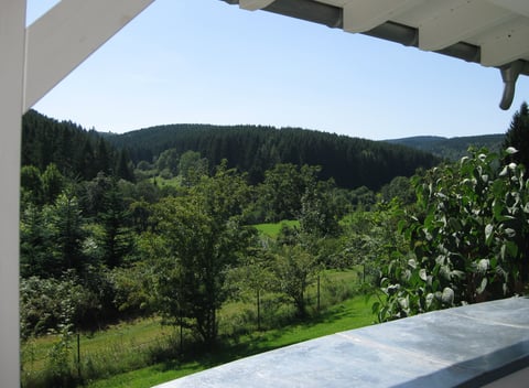 Naturhäuschen 36315 - Ferienhaus in Brilon | Naturhäuschen.de