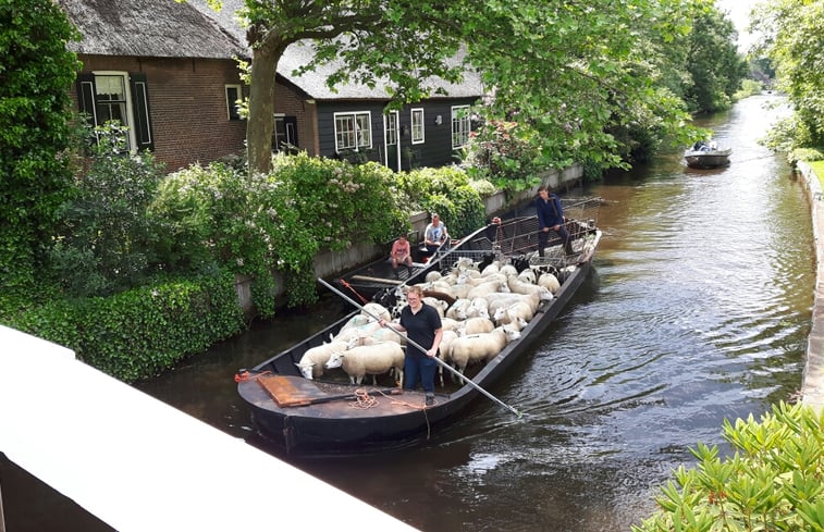 Natuurhuisje 50427 - huisje in Giethoorn | Natuurhuisje.nl