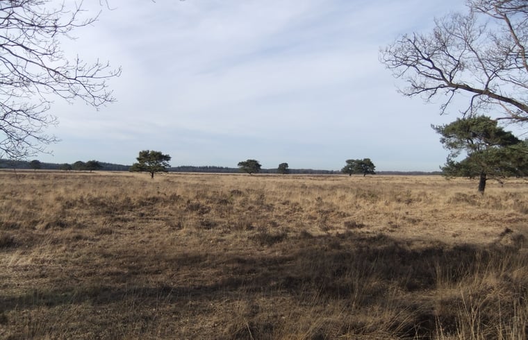 Natuurhuisje 33267 - huisje in Wapse | Natuurhuisje.nl