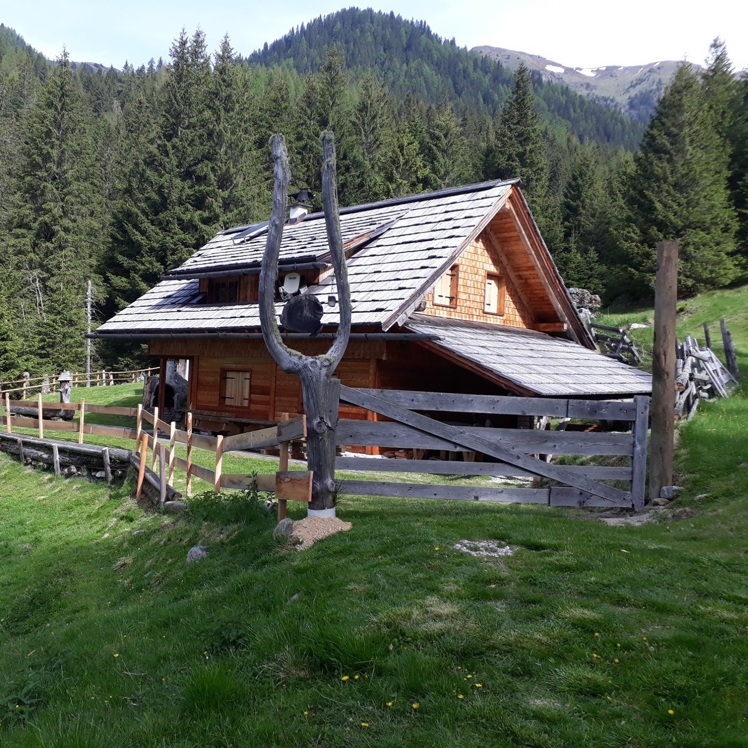 Log cabin Austria in the middle of nature | Nature.house