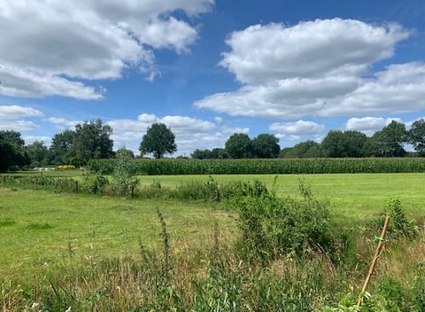 Natuurhuisje 75496 - huisje in Reutum | Natuurhuisje.nl