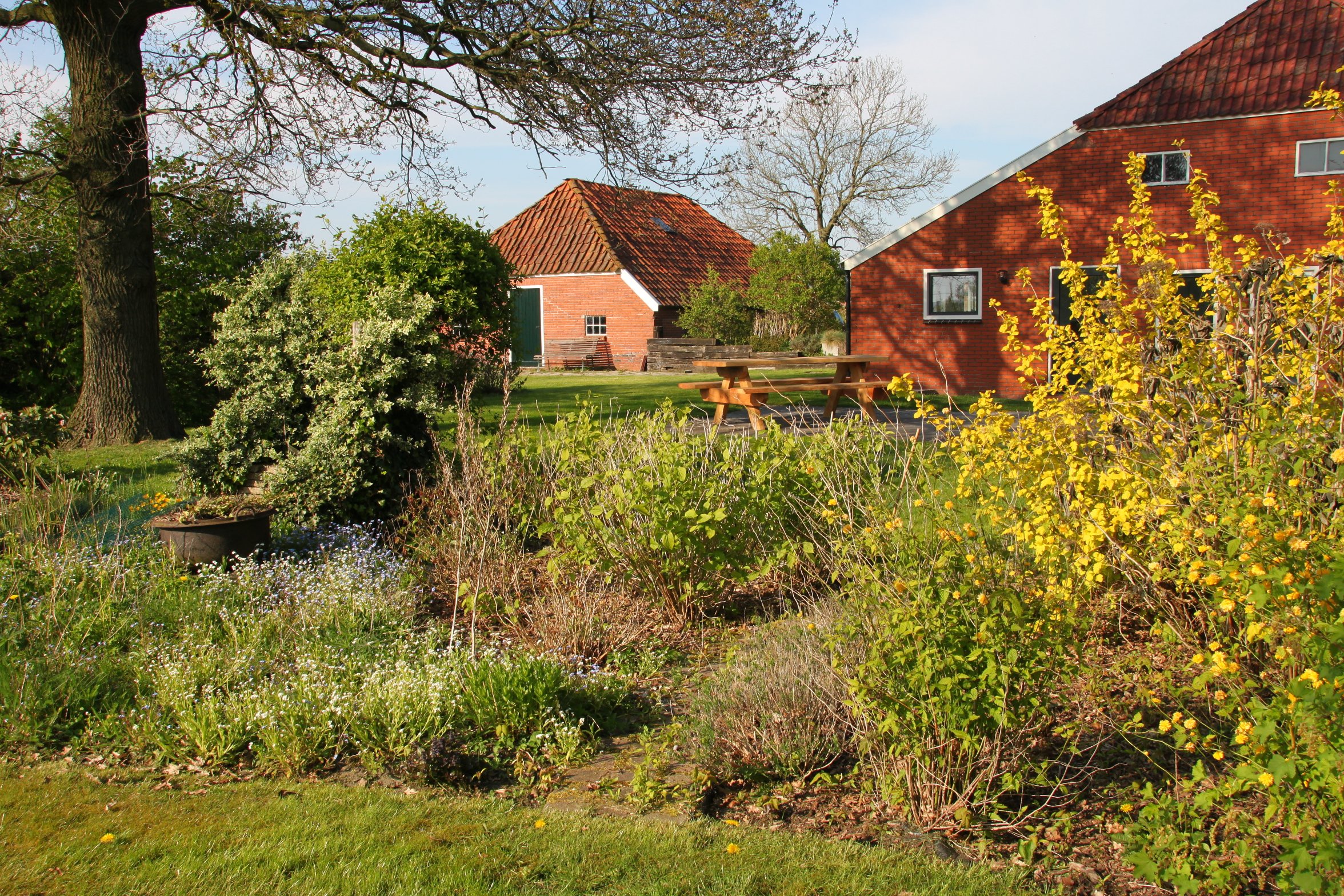 Cottages Mussel - Holiday homes & villas | Nature.house