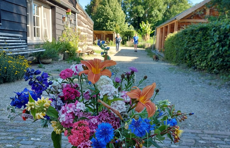 Natuurhuisje 66831 - huisje in Waspik | Natuurhuisje.nl