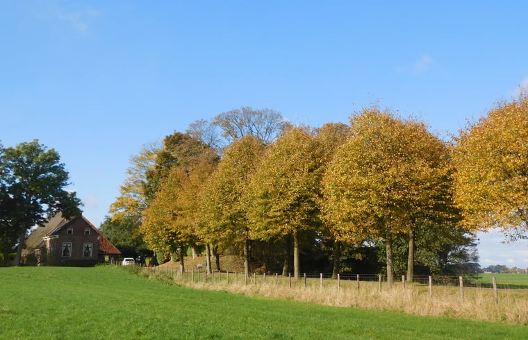 Natuurhuisje 25385 - huisje in Jannum | Natuurhuisje.nl