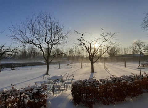 Natuurhuisje 37603 - huisje in Boxtel | Natuurhuisje.nl