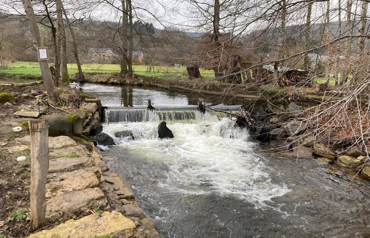 Natuurhuisje 48773 - huisje in Fanzel/Erezée | Natuurhuisje.be