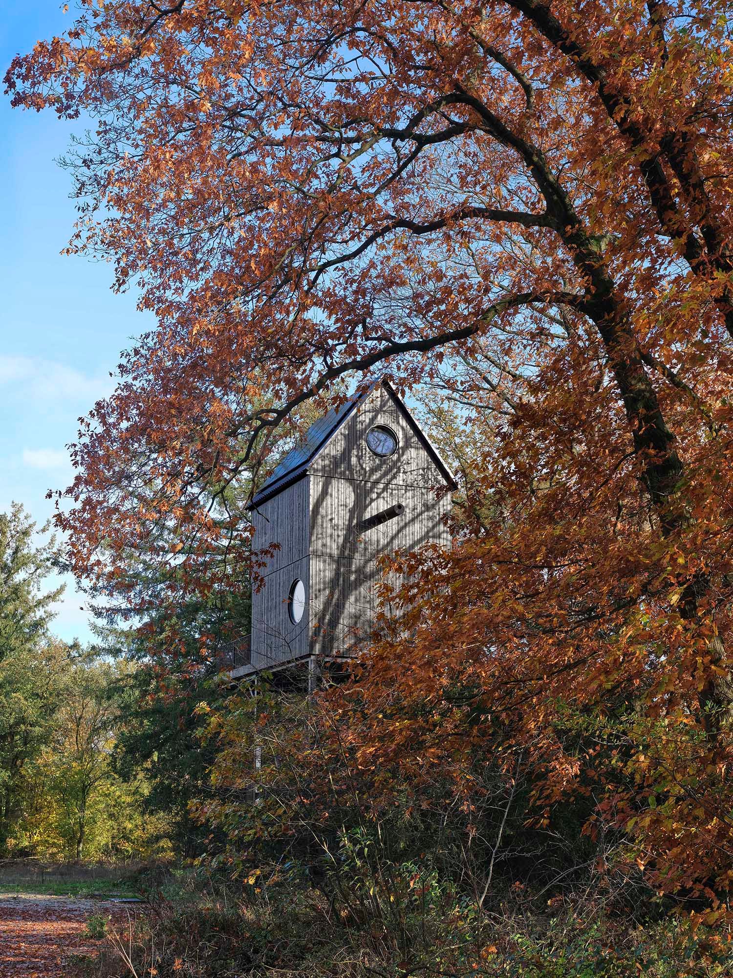 Boomhut Nederland - In de natuur | Natuurhuisje.nl