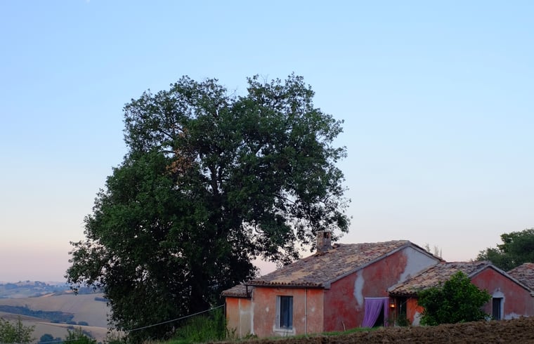 Naturhäuschen 84575 - Ferienhaus in Fratte Rosa | Naturhäuschen.de