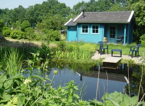 Natuurhuisje 31422 - huisje in Rekken | Natuurhuisje.nl