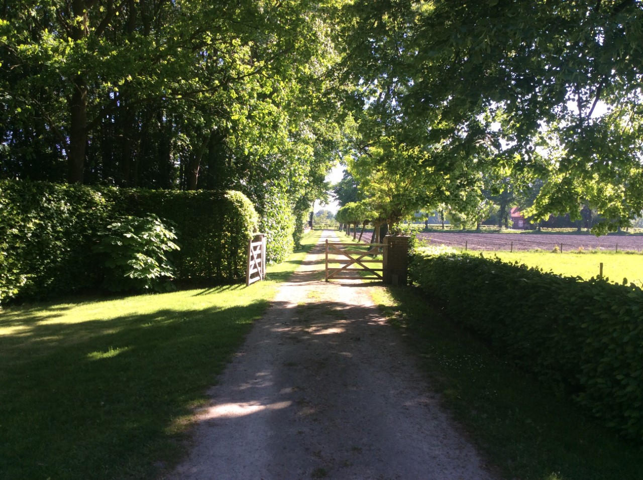 Cottages Westerbeek - Holiday homes & villas | Nature.house