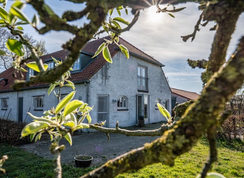 Natuurhuisje 37603 - huisje in Boxtel | Natuurhuisje.nl