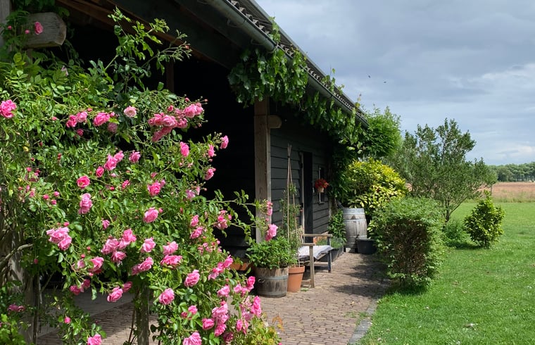 Naturhäuschen 83539 - Ferienhaus in Boxtel | Naturhäuschen.de