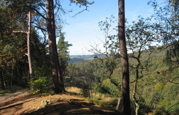 Natuurhuisje 33853 - huisje in Stoumont | Natuurhuisje.be