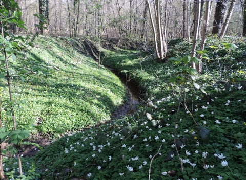 Natuurhuisje 73063 - huisje in Binkom | Natuurhuisje.be