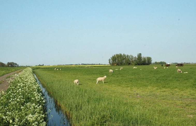 Naturhäuschen 21025 - Ferienhaus in Westergeest | Naturhäuschen.de