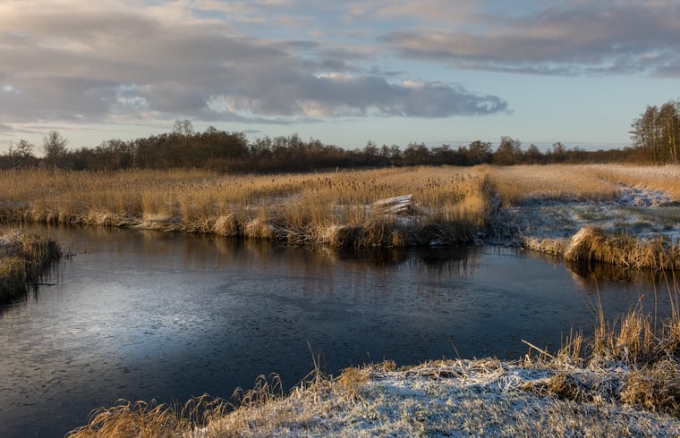 Natuurhuisje 30093 - huisje in Kalenberg | Natuurhuisje.nl