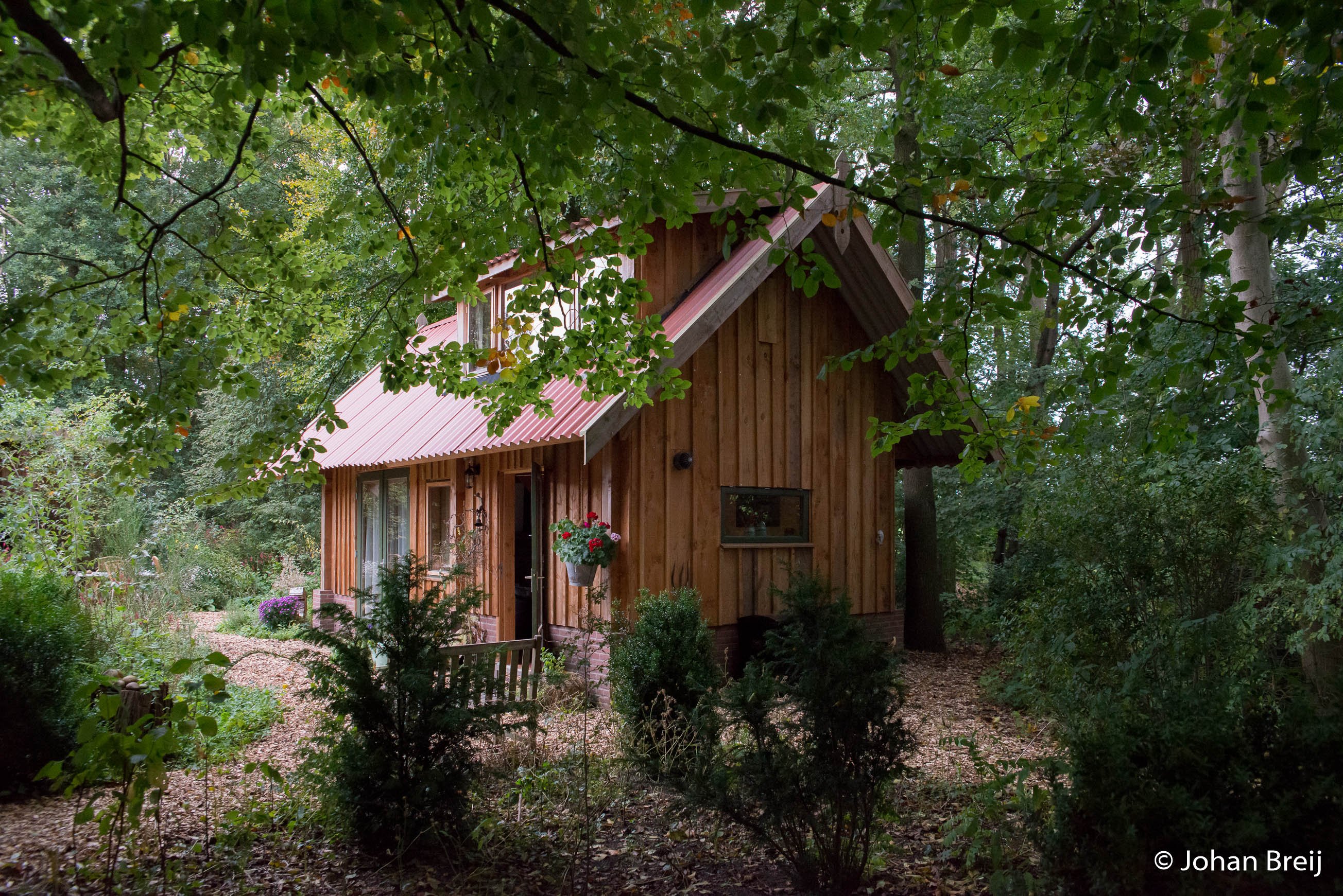 Casa forestal in the middle of nature | Nature.house